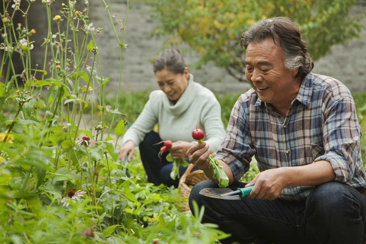 Eating Right - Vail Health Foundation